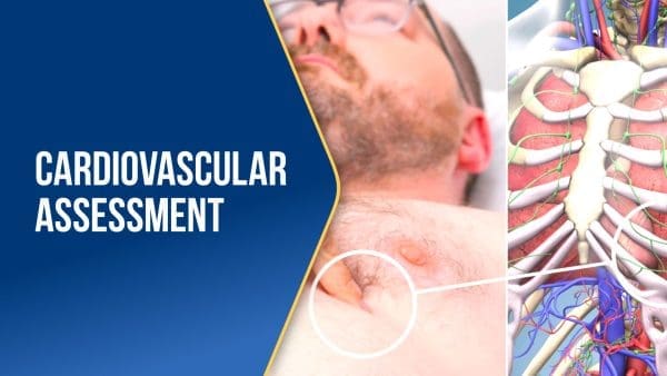 Cardiovascular Assessment - CE Classroom