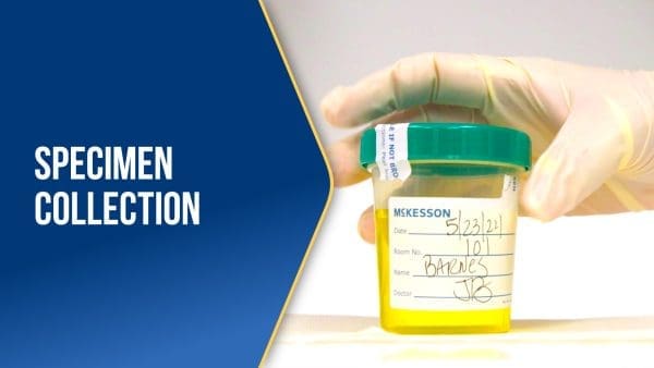 Specimen Collection - CE Classroom